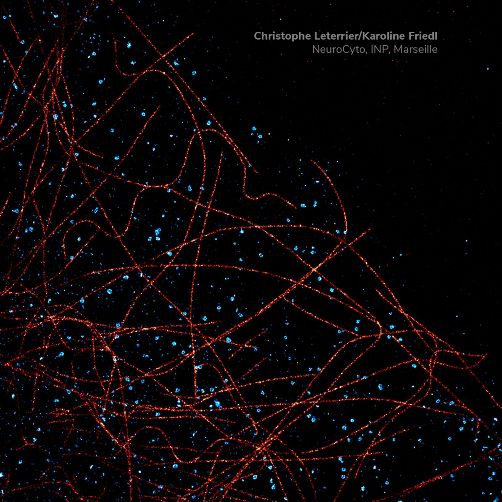 MASSIVE-AB 2-PLEX - Massive Photonics