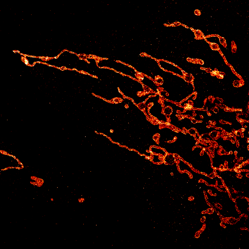 MASSIVE-sdAB 1-PLEX - Massive Photonics