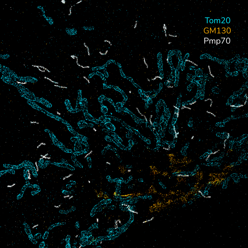 MASSIVE-AB 3-PLEX - Massive Photonics