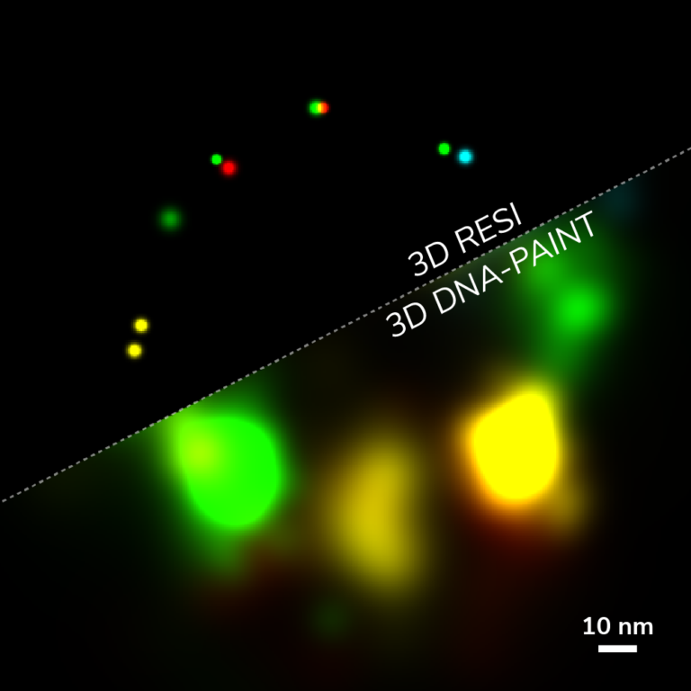 DNA-PAINT Labeling Kits for Super-Resolution Imaging