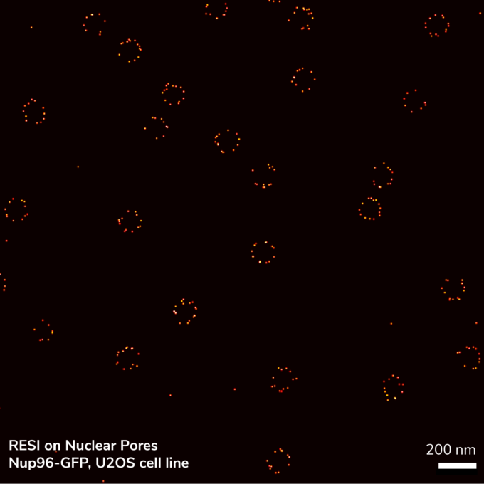 MASSIVE-RESI anti-GFP - Massive Photonics