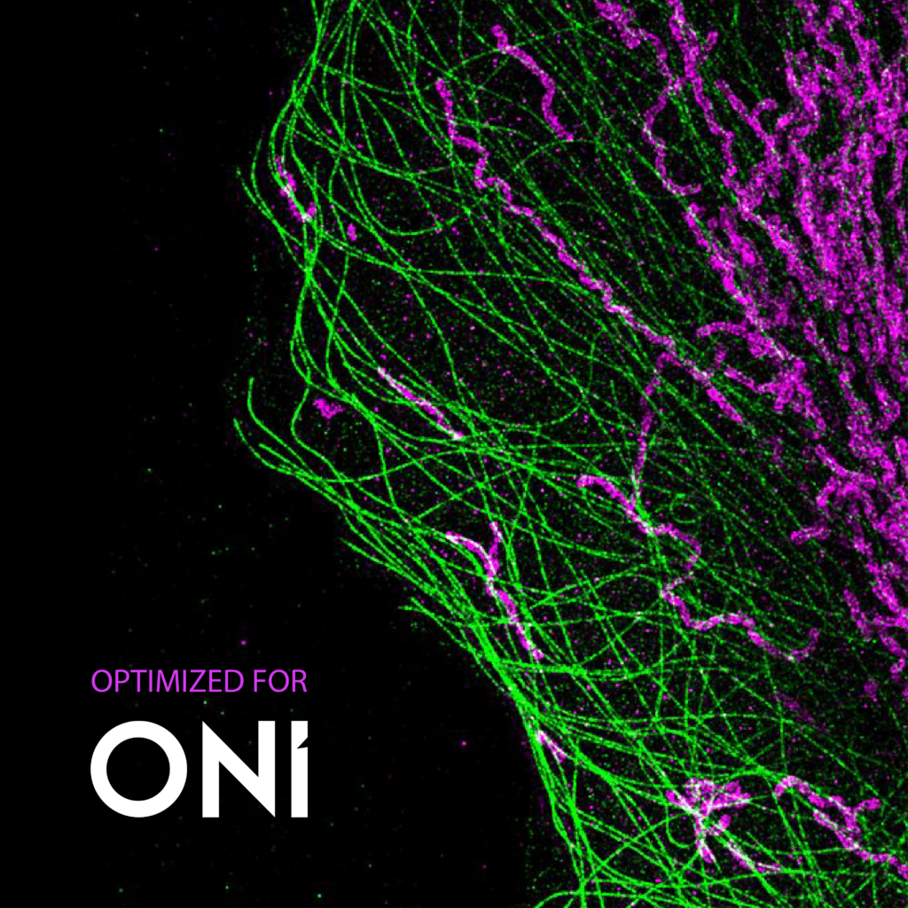 ONI DNA-PAINT kit Archives - Massive Photonics