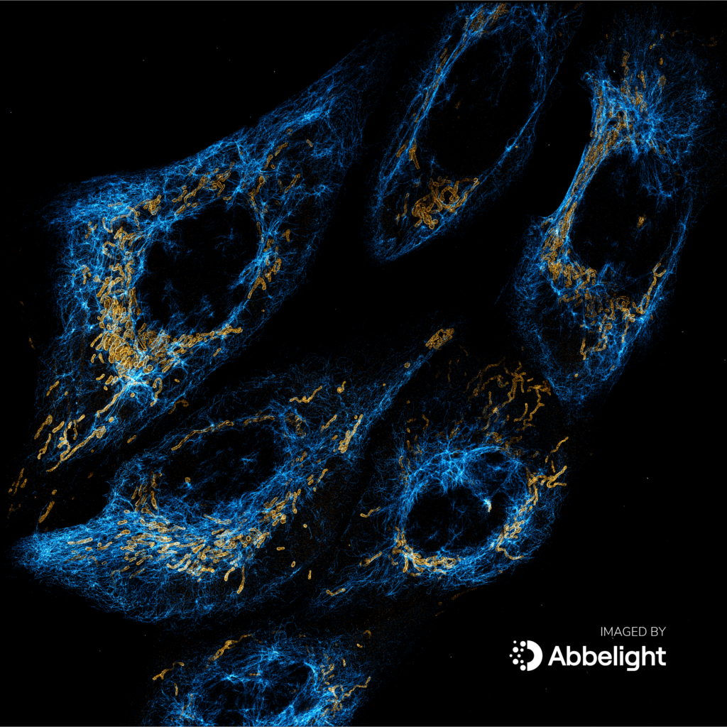 DNA-PAINT Labeling Kits for Super-Resolution Imaging