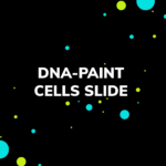 DNA-PAINT Labeling Kits for Super-Resolution Imaging