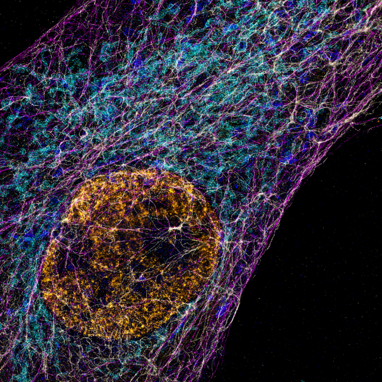 MASSIVE-sdAB-FAST 5-PLEX - Massive Photonics