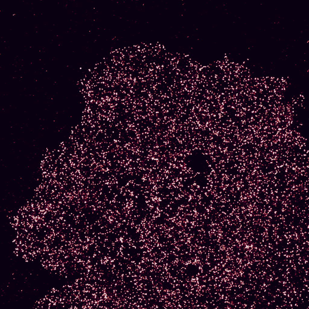 Massive-TAG-Q-FAST anti-RFP - Massive Photonics