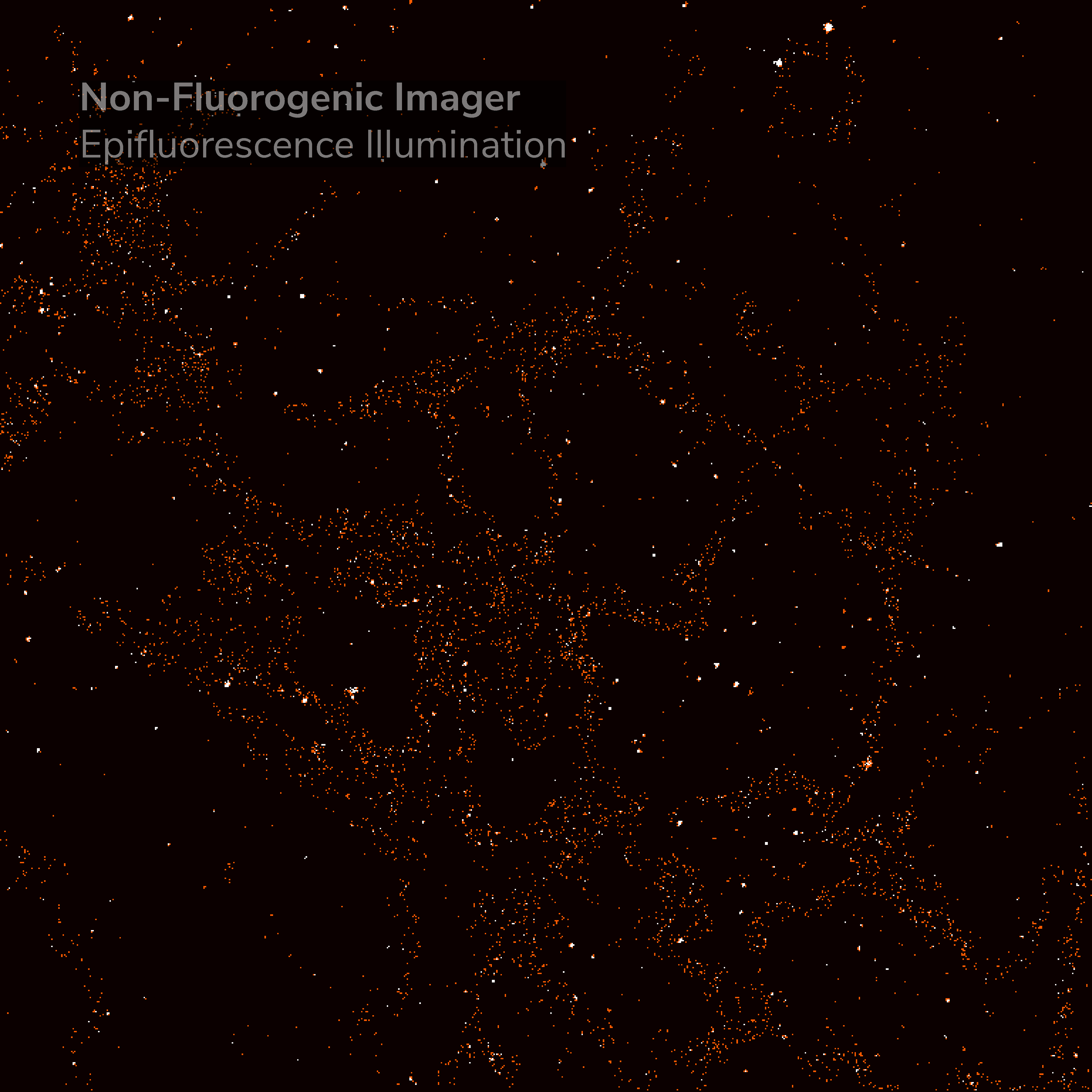 Fluorogenic Imager - Massive Photonics